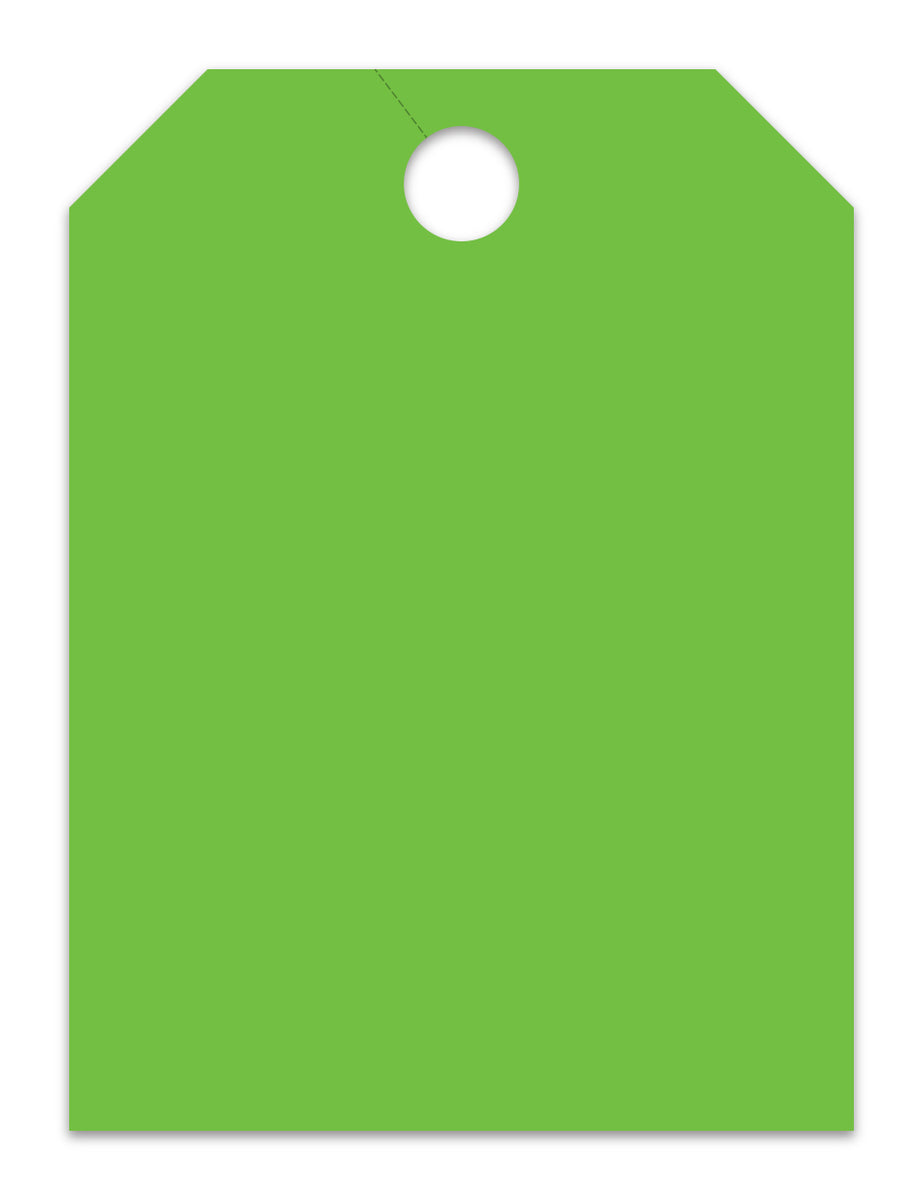 Hang Tags - Blank - Large, Green - Qty. 50 – Tucker Industries